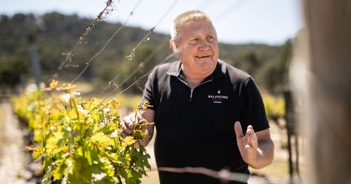 Savoury, succulent and textural: Jane Faulkner on pecorino