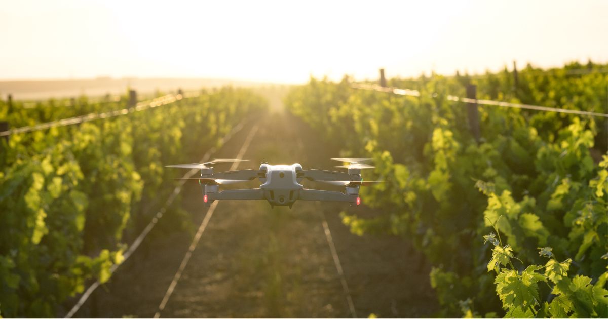 High flying, low impact: Marcus Ellis on the producers using drones to ...