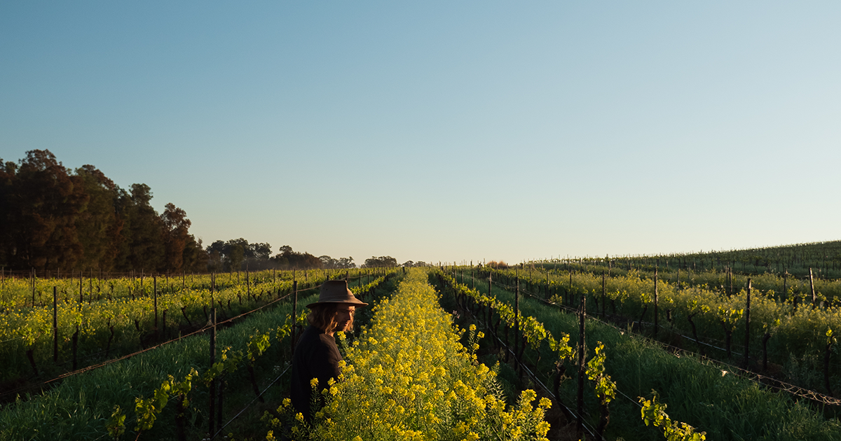 Ned Goodwin MW on the Hunter Valley