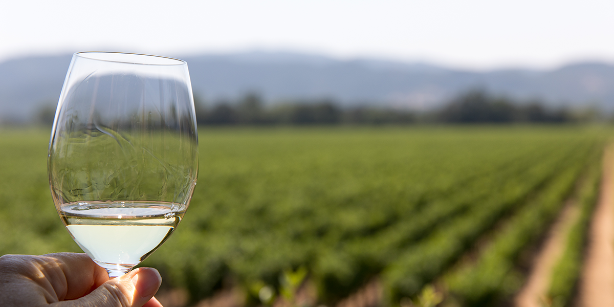 Ned Goodwin: great white hopes