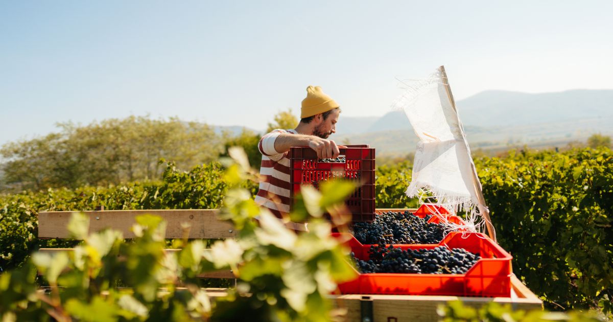 Meet the makers: get to know the winemakers behind Rieslingfreak ...