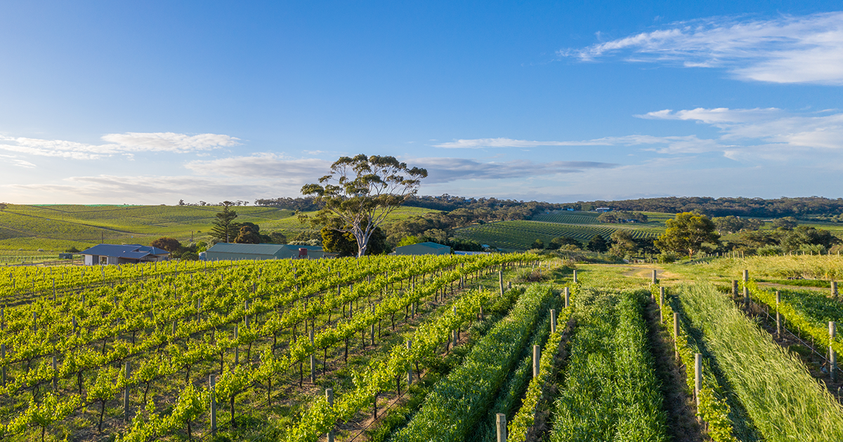 Bondar's bright future