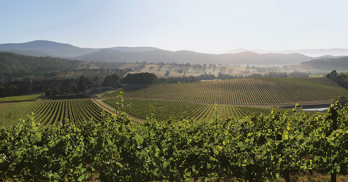 De Bortoli celebrates its Melba range with three premium cabernets