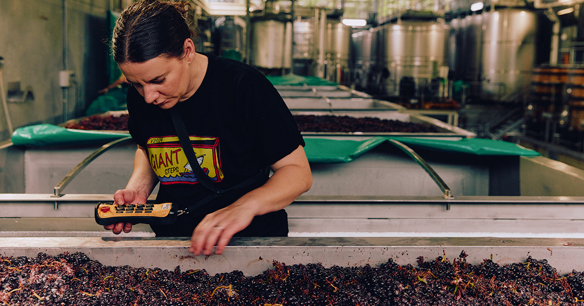 New Giant Steps wines