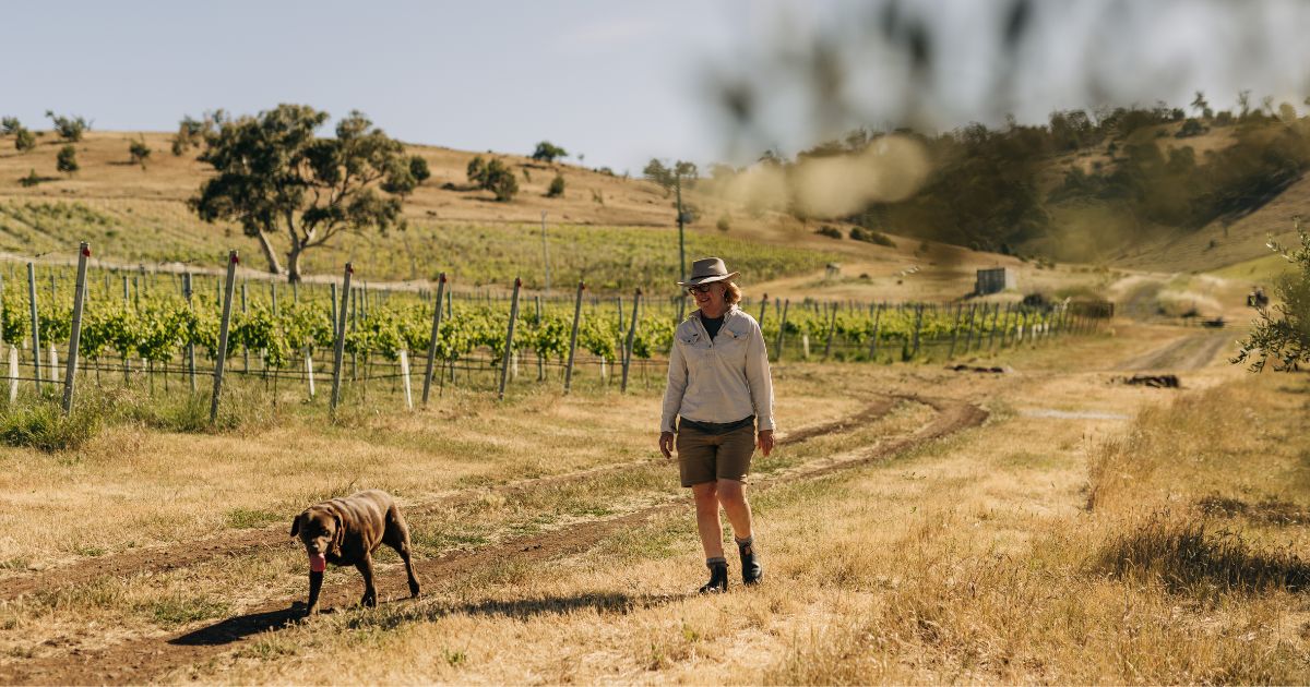 Stargazer's latest vintage release includes a brand-new cellar door