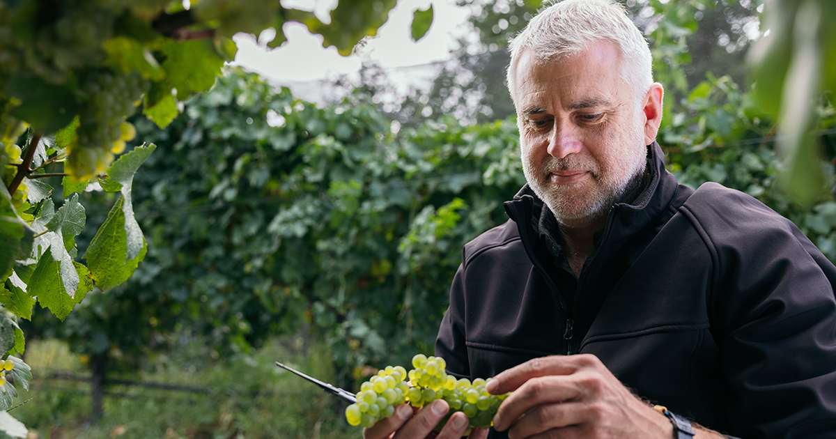 Yering Station's sustainable future