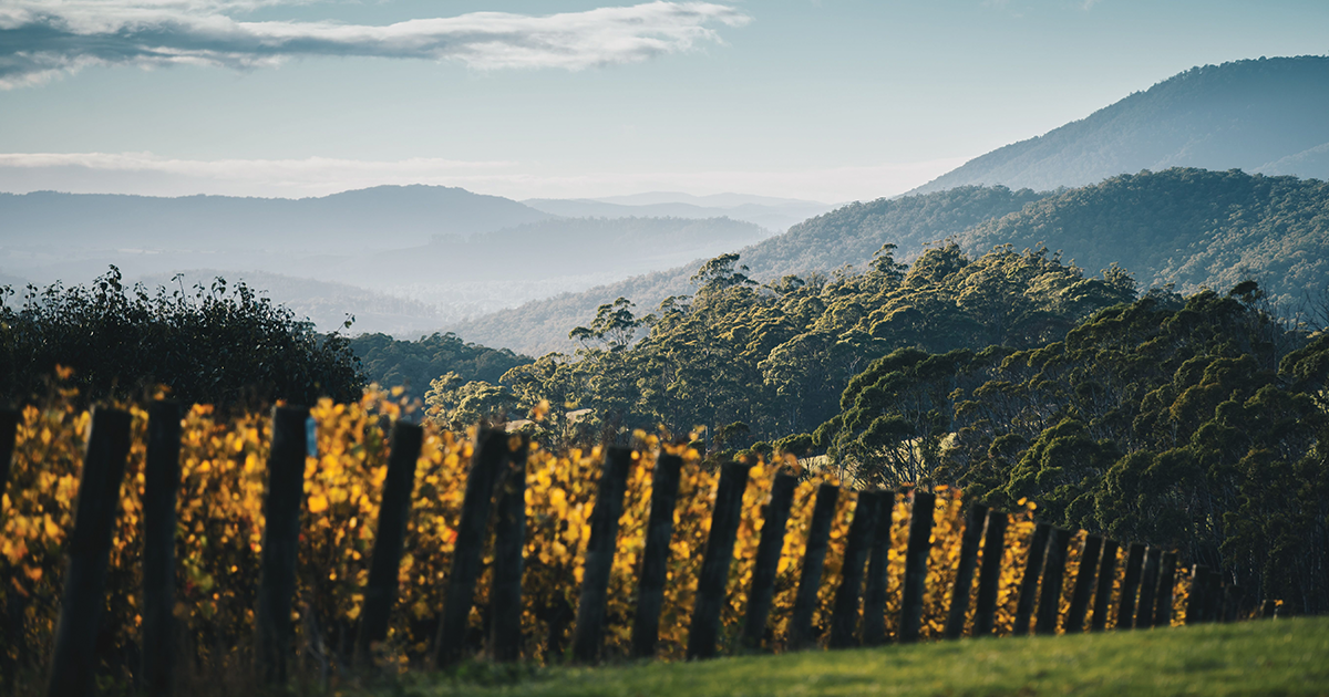 Wineries to discover: September