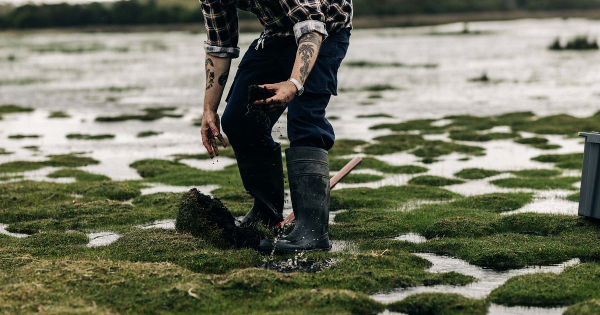 Whisky 101: Common styles and labelling terms explained