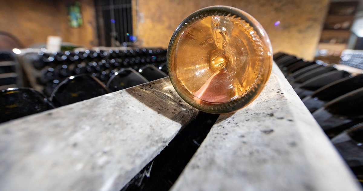 The rise of cava, Spain’s signature sparkling | Halliday Wine Companion