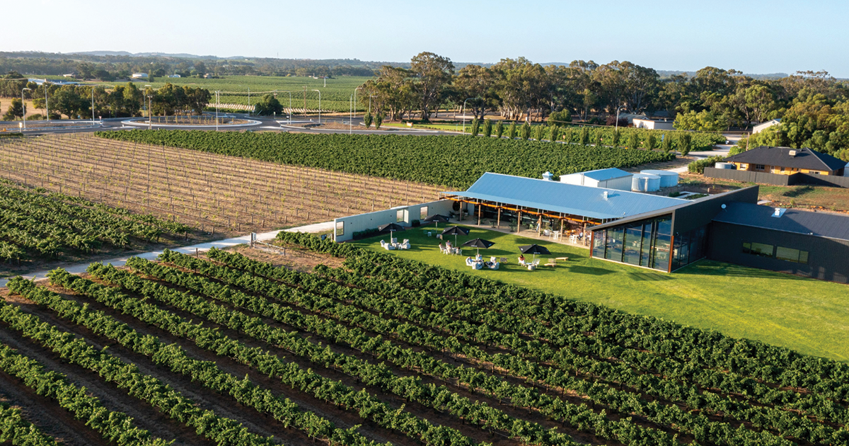 Barossa wines to try