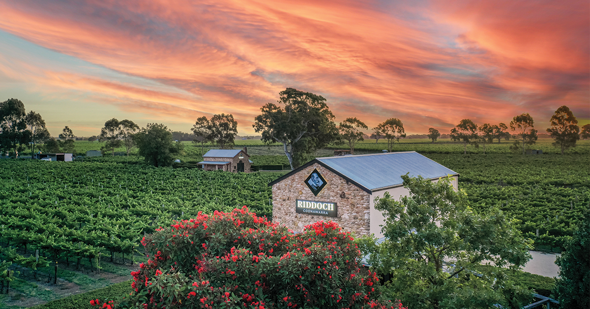 Best Coonawarra Wineries | Best Wineries to Discover in Coonawarra