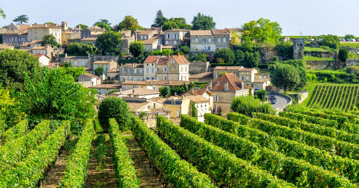 12 Bordeaux wines for everyday drinking