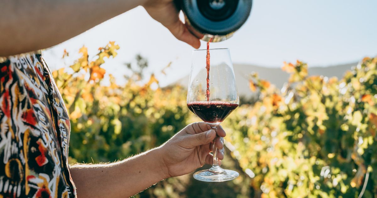 Southern stars: 12 wines that highlight the dynamism of Chile's wine scene