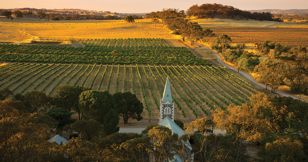 Five exceptional wines to try rated 97-plus points