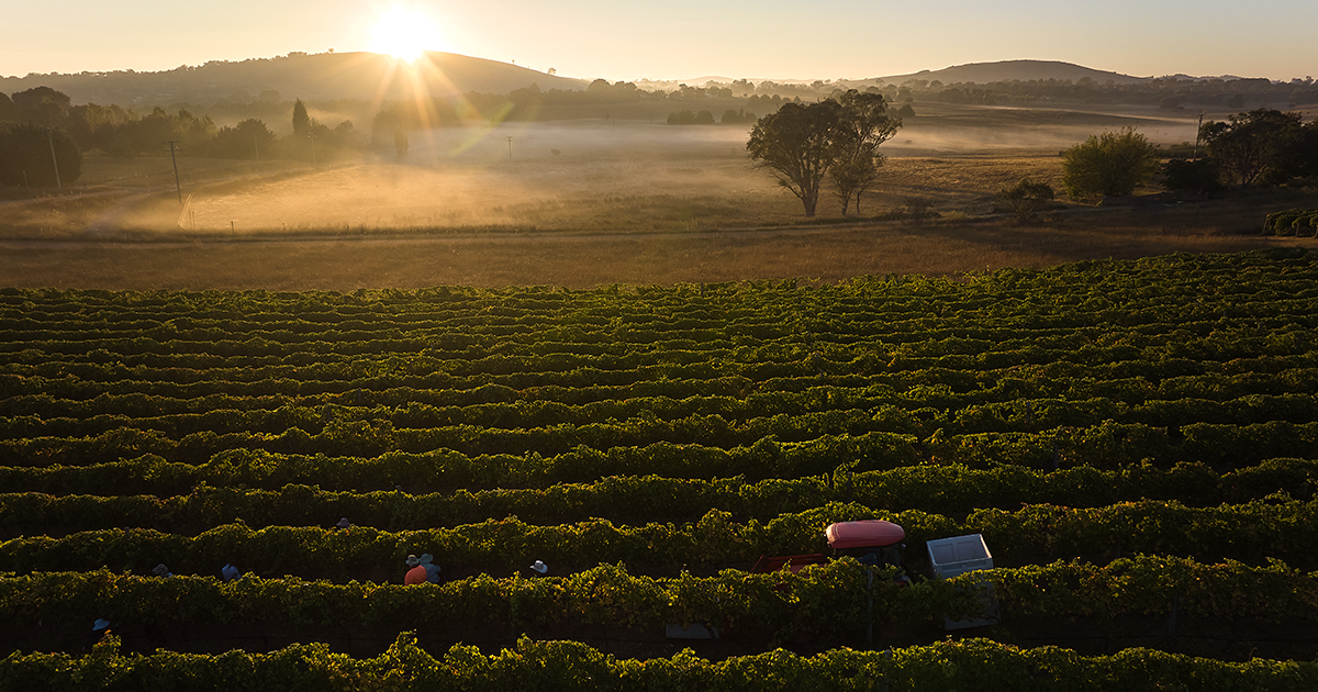 How to spend three days in Canberra