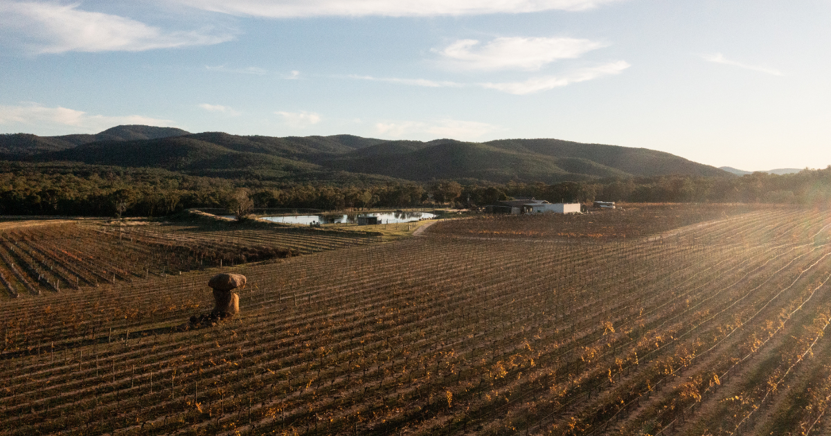 The 40 best wines from Queensland's Granite Belt