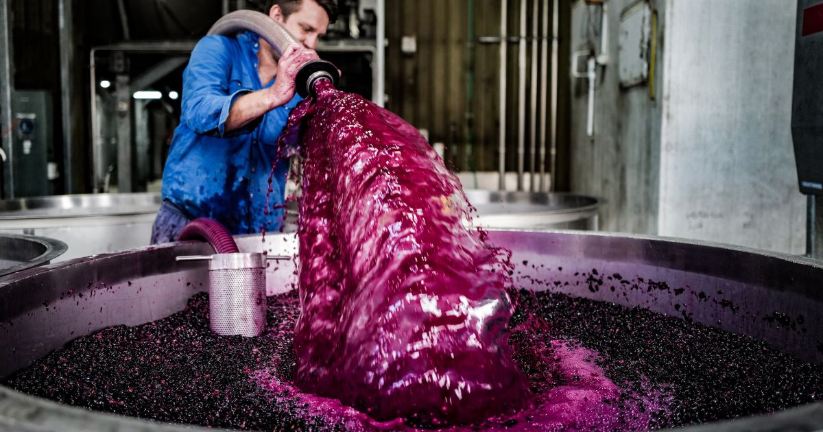 Ten newly reviewed wines to try this April