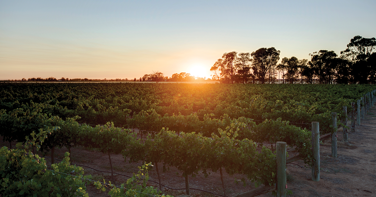 Three Riverina wineries to try