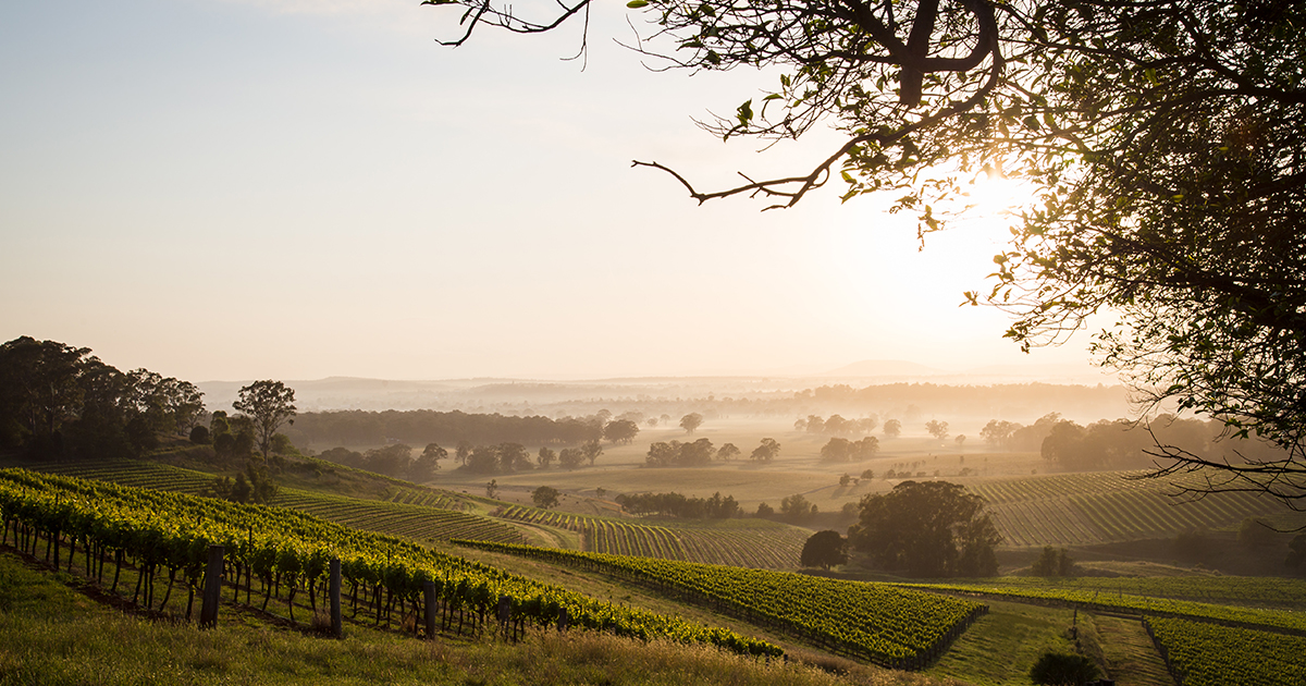 Hunter Valley Wineries | Best Wineries & Vineyards Hunter Valley ...