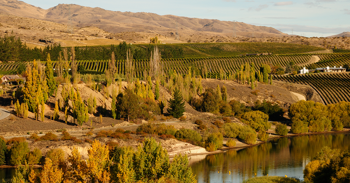 Central Otago | Best wineries and vineyards Central Otago