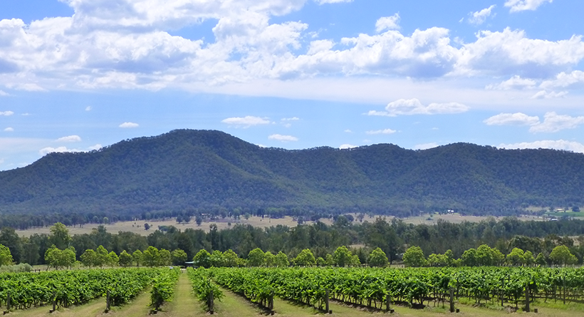 Winmark Wines | Australian Wine Companion