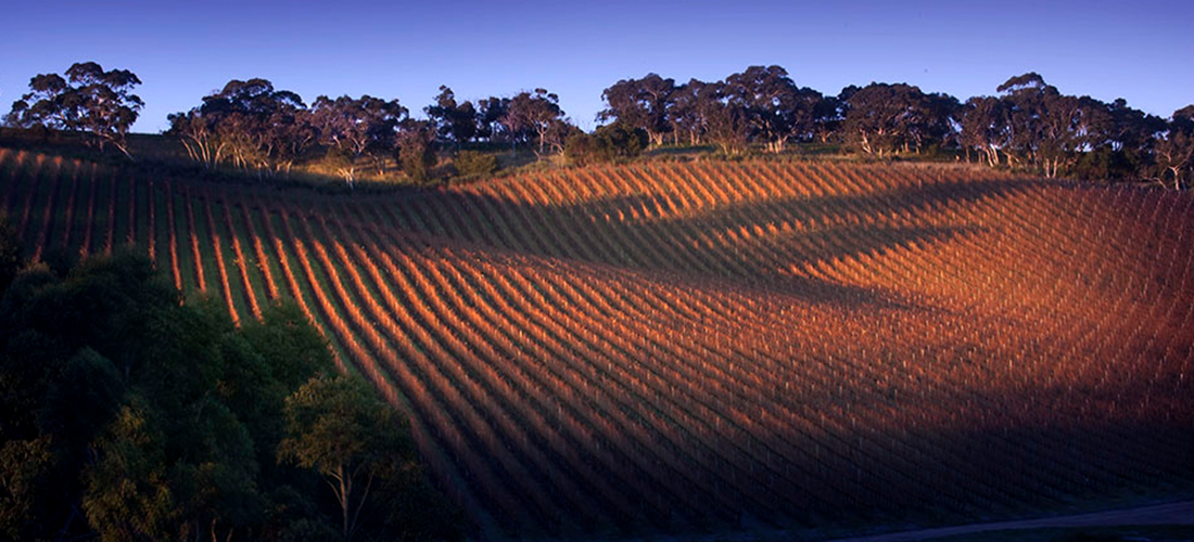 Longview Vineyard | Australian Wine Companion