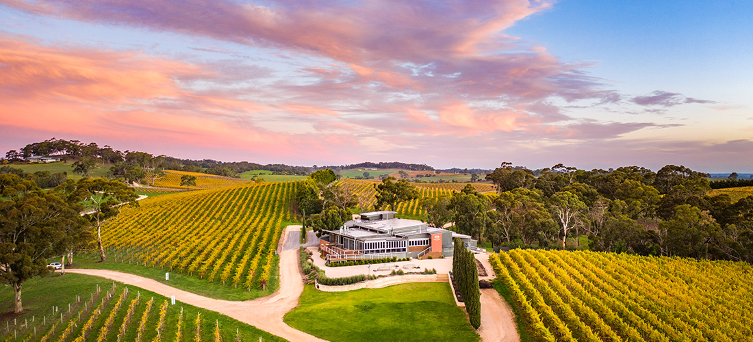 The Lane Vineyard | Australian Wine Companion