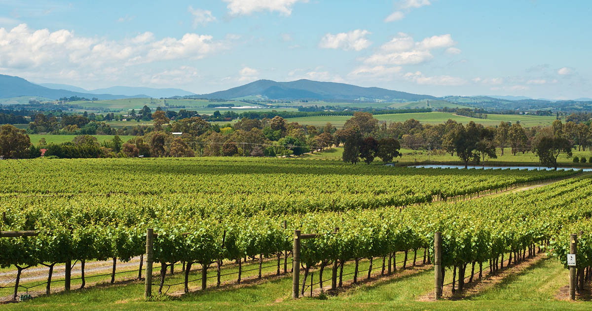 Victoria Wineries | Best Victoria Wine Regions & Wineries - Halliday ...