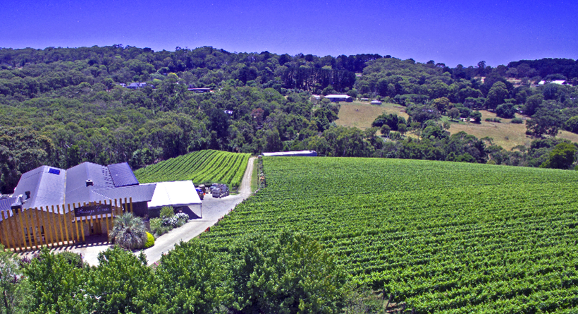 Paringa Estate | Australian Wine Companion