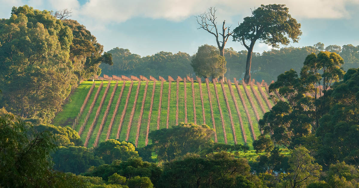 WA Wineries | Best Western Australia Wine Regions & Wineries - Halliday ...