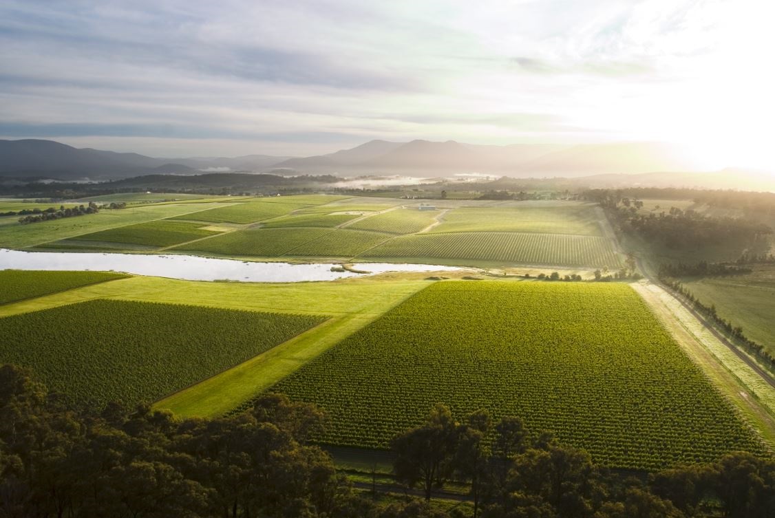 Yering Station | Australian Wine Companion